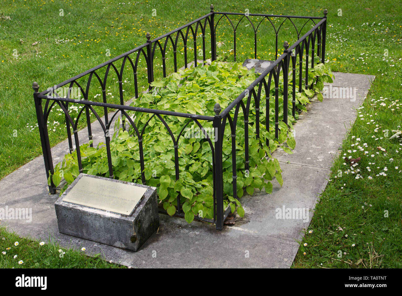 John Calvin's supposed grave (probably a fake tomb) - Cimetière des Rois (Cemetery of the Kings ...