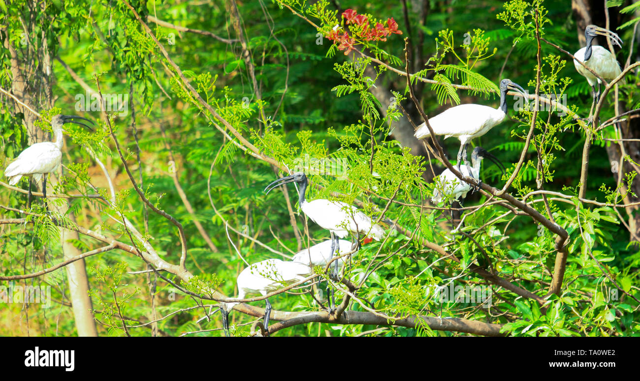 Hefty bodies hi-res stock photography and images - Alamy