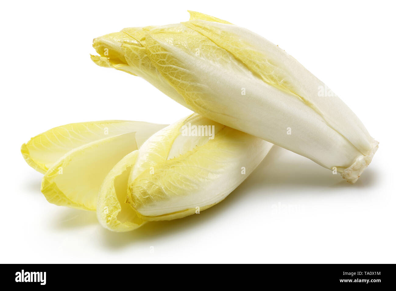 Fresh endive isolated on white background Stock Photo - Alamy
