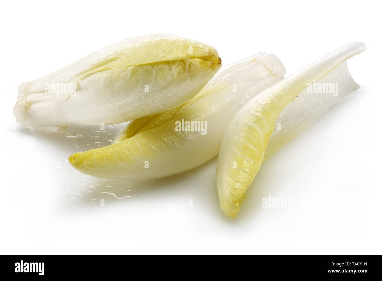 Fresh endive isolated on white background Stock Photo - Alamy