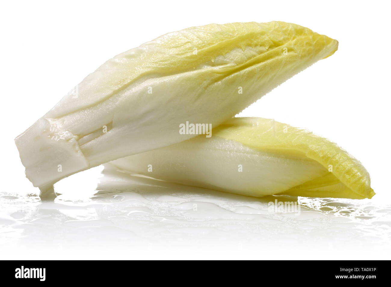 Fresh endive isolated on white background Stock Photo - Alamy