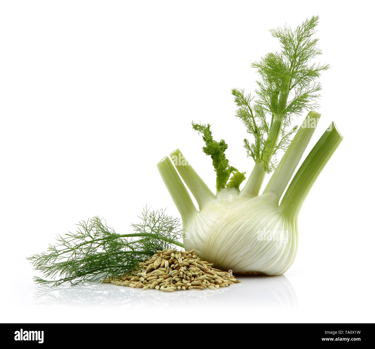 Fresh fennel bulb isolated on white background Stock Photo - Alamy