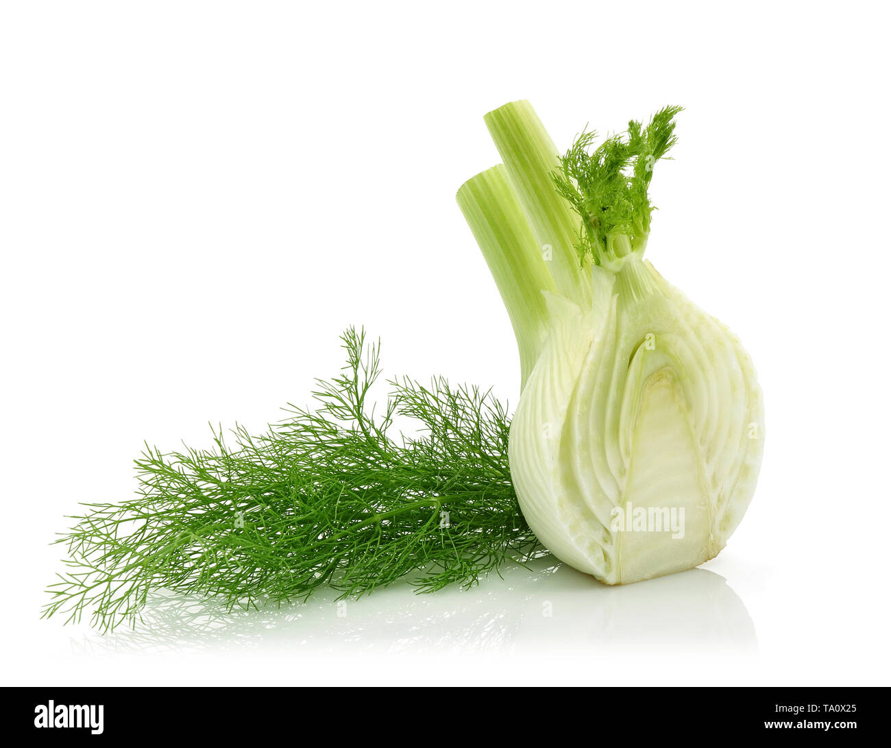 Fresh fennel bulb isolated on white background Stock Photo - Alamy