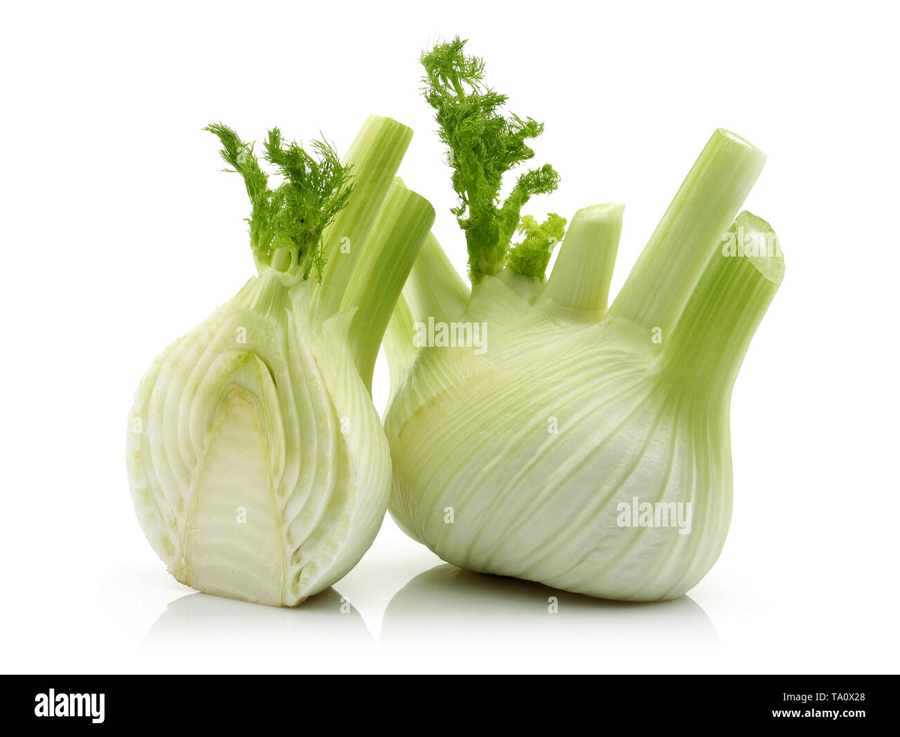 Fresh fennel bulb isolated on white background Stock Photo - Alamy