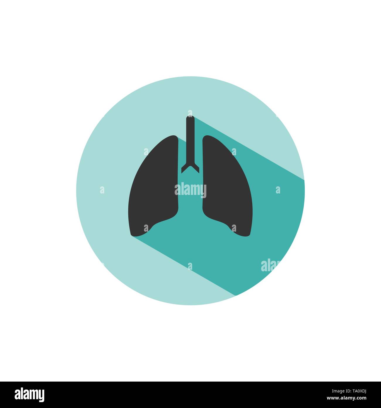 Lungs icon with shade on green circle. Vector illustration Stock Vector ...