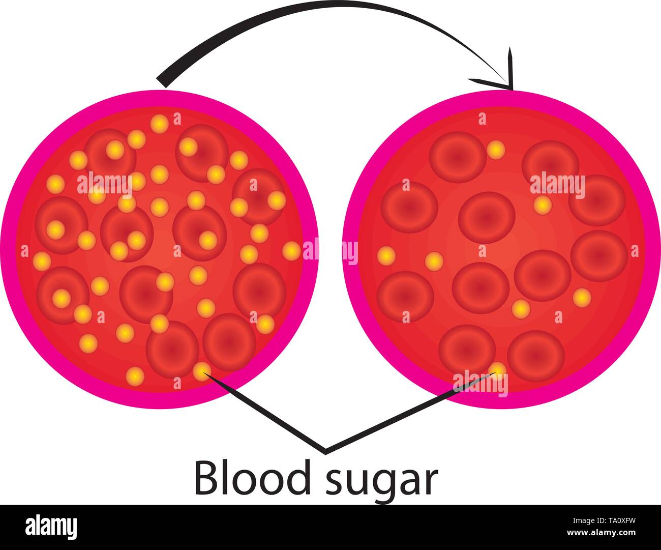 reduce blood sugar level control medical lab analysis vector ...
