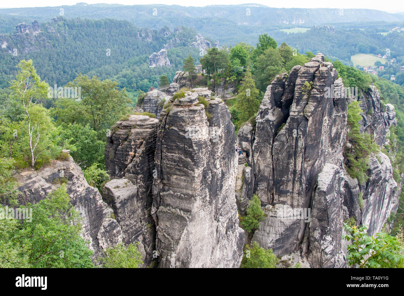 Mountain landscape of Saxon Switzerland. Forest-covered rocks Stock ...