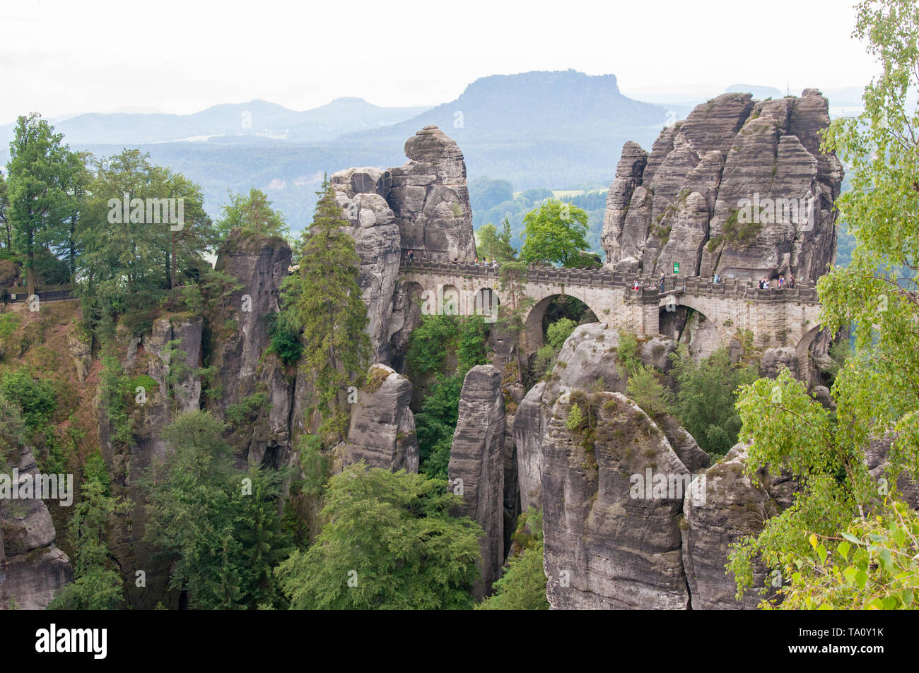 Mountain landscape of Saxon Switzerland. Forest-covered rocks Stock ...