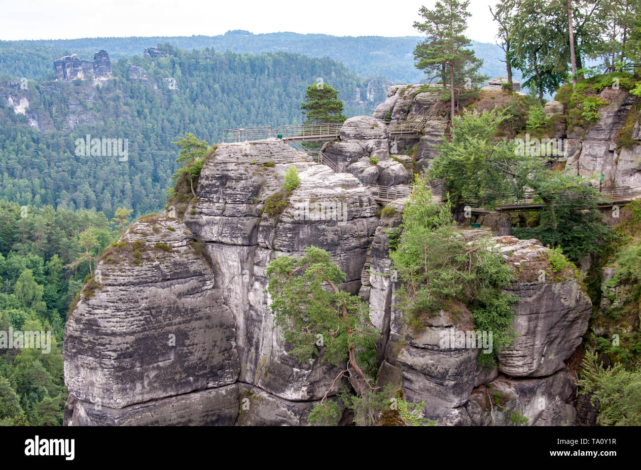Mountain landscape of Saxon Switzerland. Forest-covered rocks Stock ...