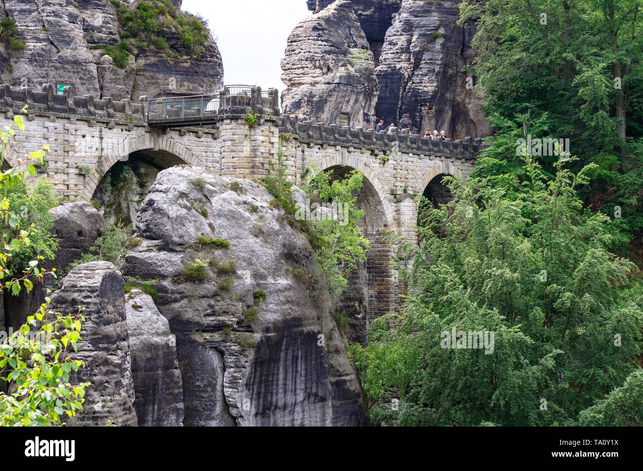 Mountain landscape of Saxon Switzerland. Forest-covered rocks Stock ...
