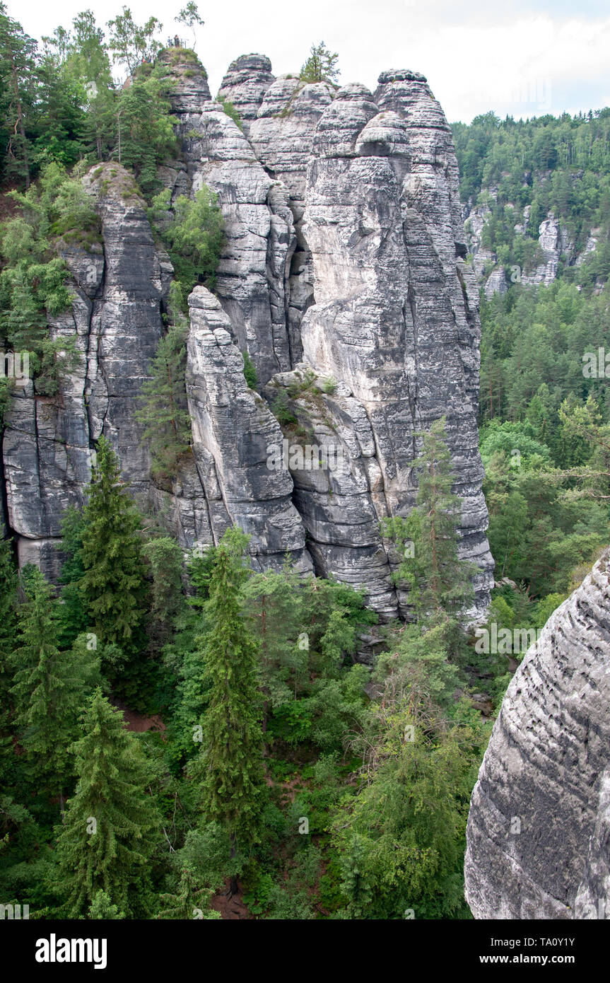 Mountain landscape of Saxon Switzerland. Forest-covered rocks Stock ...