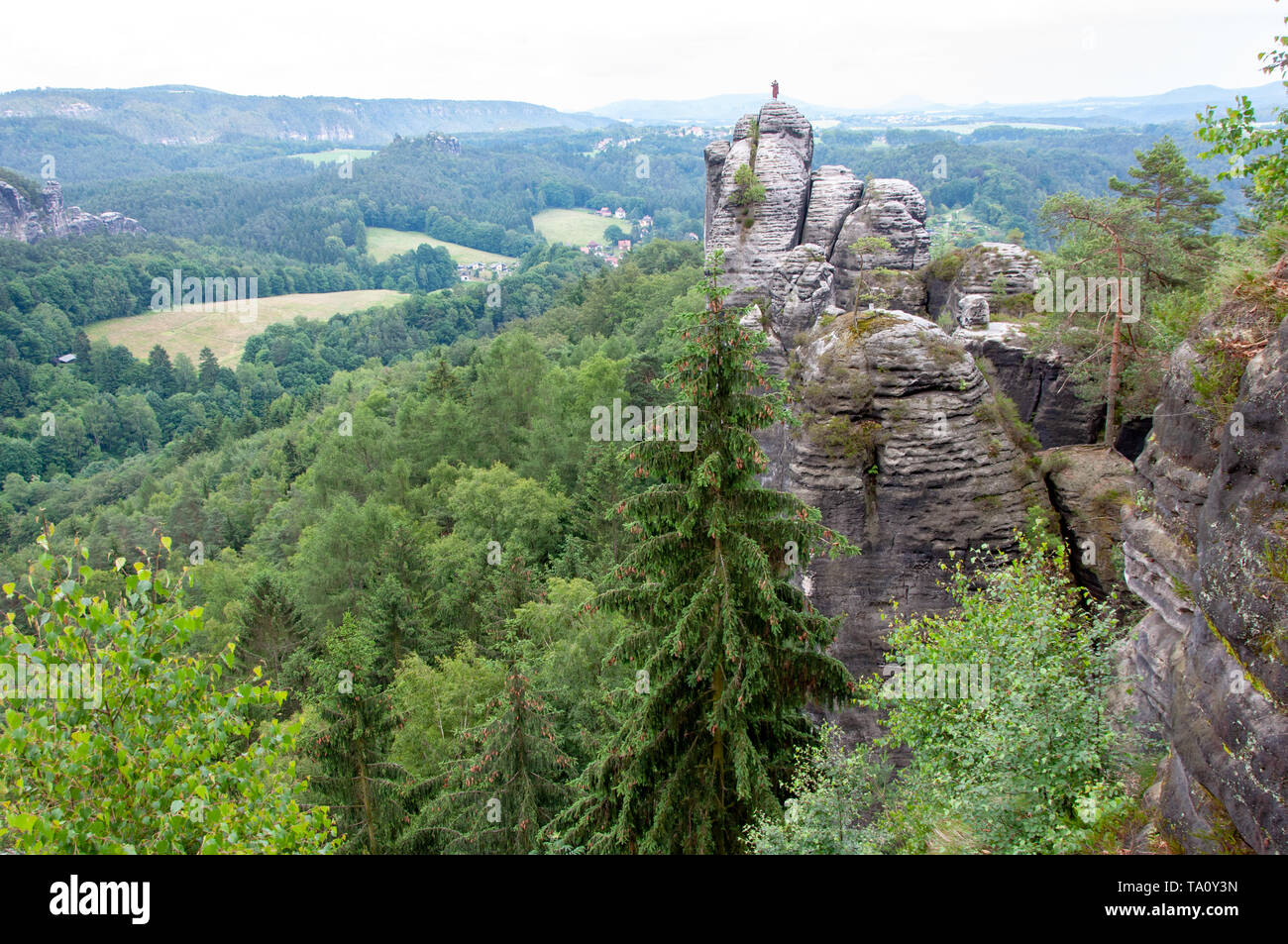 Mountain landscape of Saxon Switzerland. Forest-covered rocks. River ...