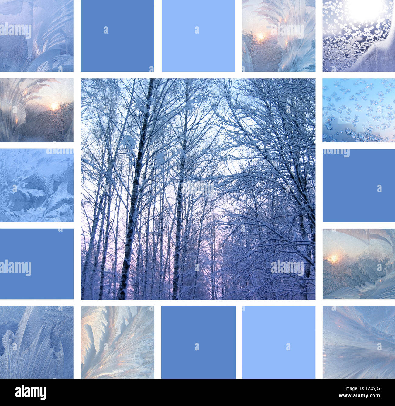 Collage of ice patterns on glass and winter trees Stock Photo - Alamy