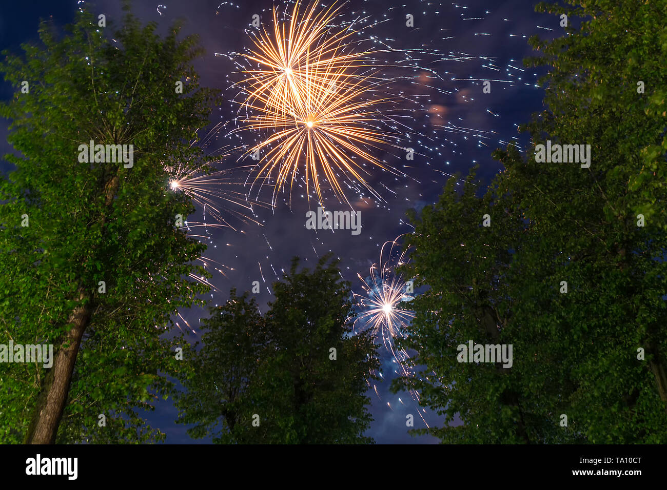Fireworks exploding behind green trees at dusk Stock Photo - Alamy