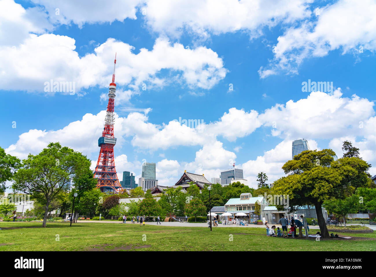 Tokyo Tower from Green lawn in Shiba Park in Tokyo, Japan Stock Photo - Alamy