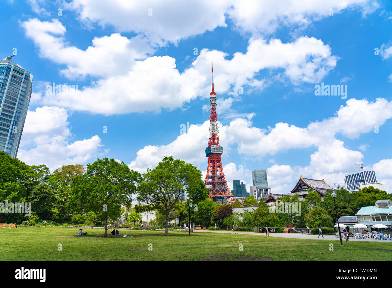 Tokyo Tower from Green lawn in Shiba Park in Tokyo, Japan Stock Photo - Alamy