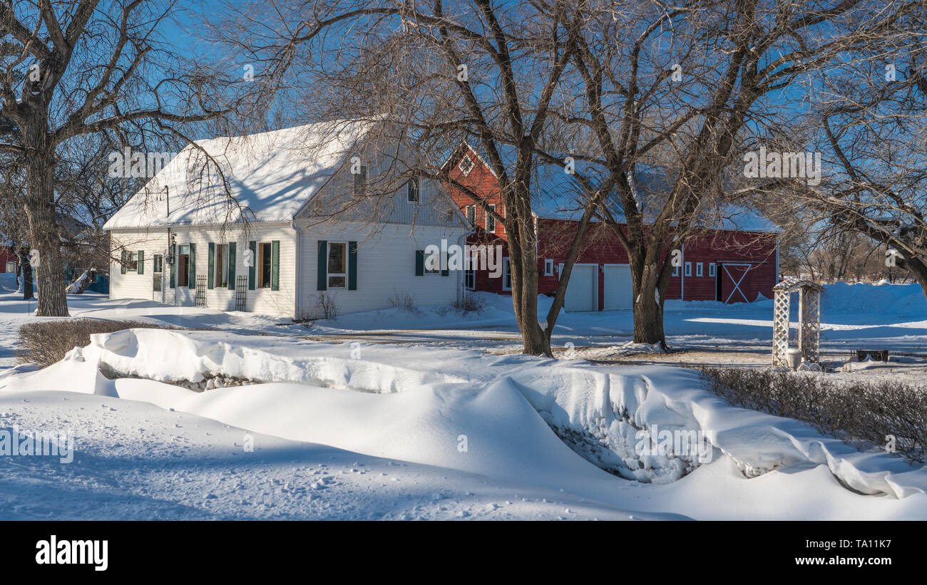A Mennonite house barn in the winter in the village of Reinland ...