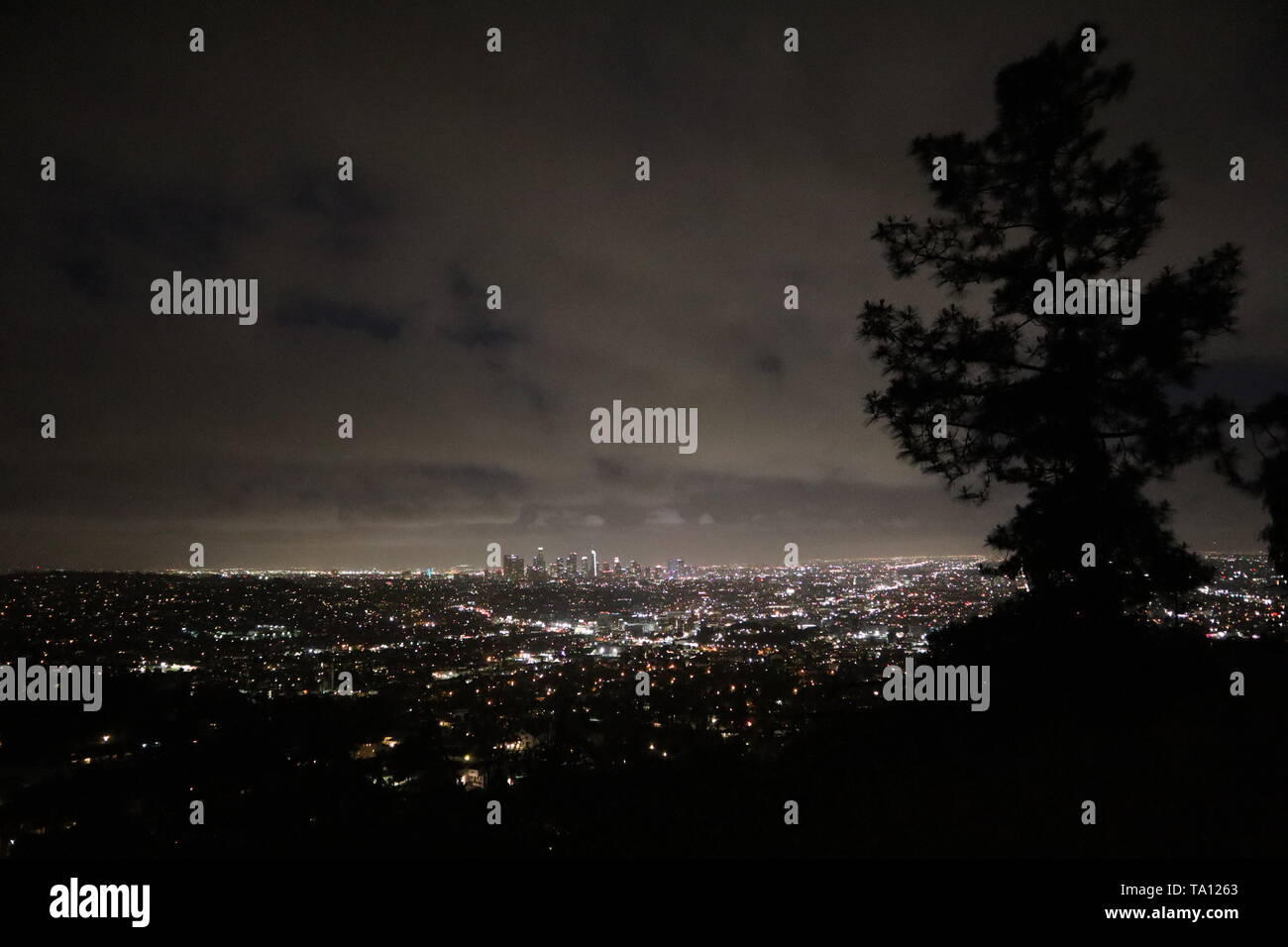 Los Angeles skyline - Night Time Panorama with view of tree branches ...