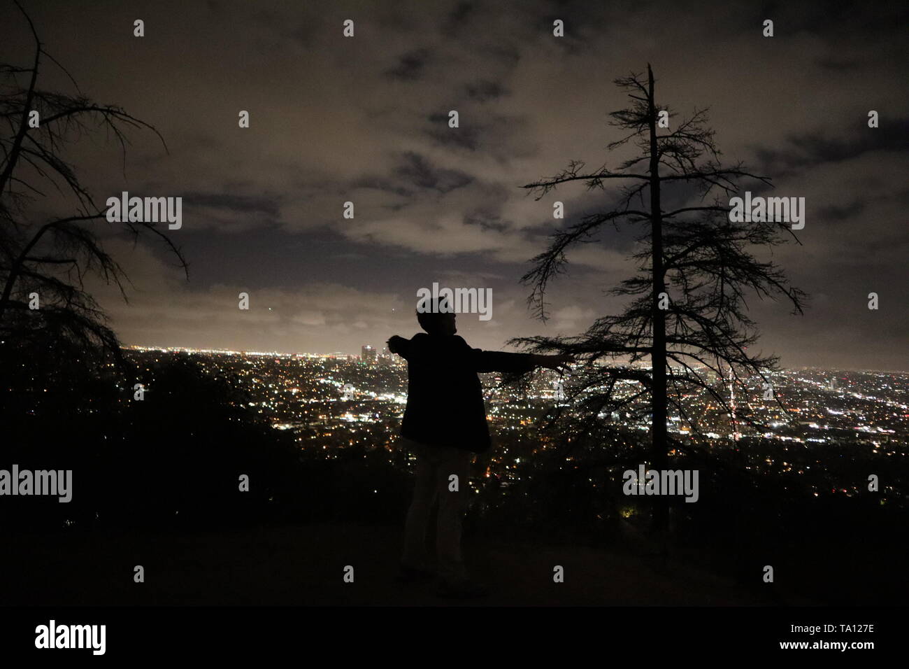 Los Angeles skyline - Night Time Panorama with view of tree branches ...