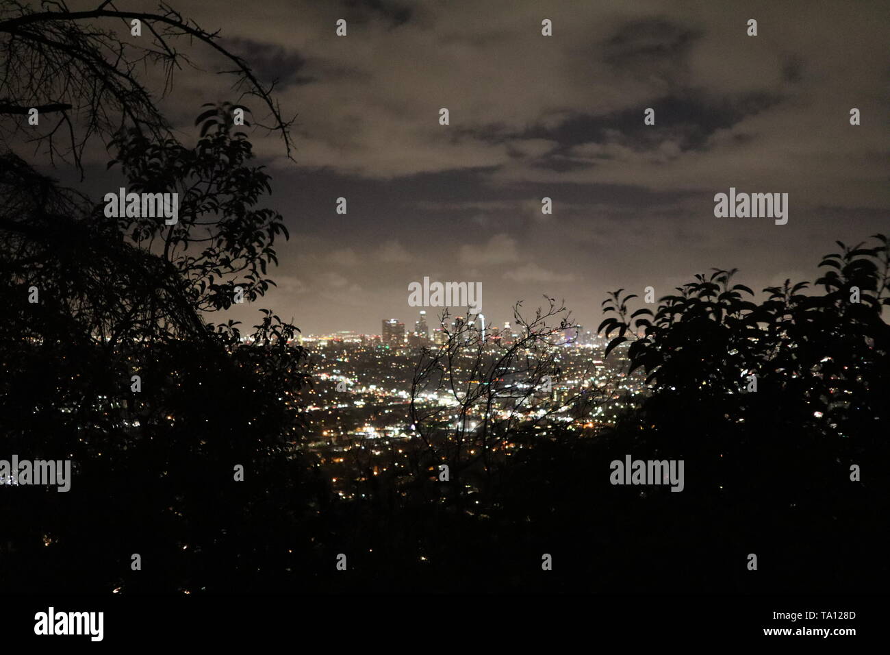 Los Angeles skyline - Night Time Panorama with view of tree branches ...