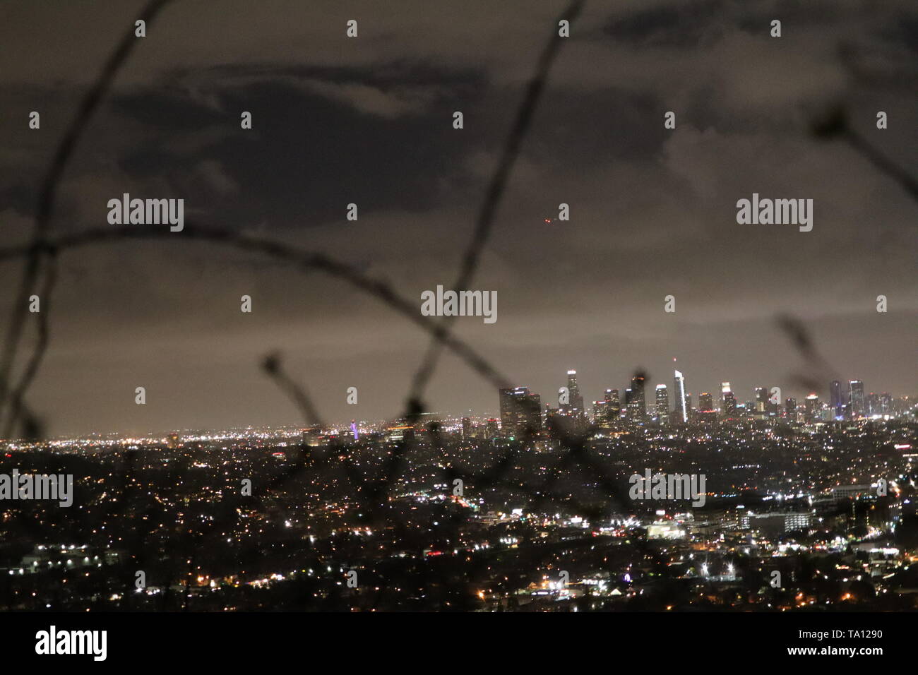 Los Angeles skyline - Night Time Panorama with view of tree branches ...