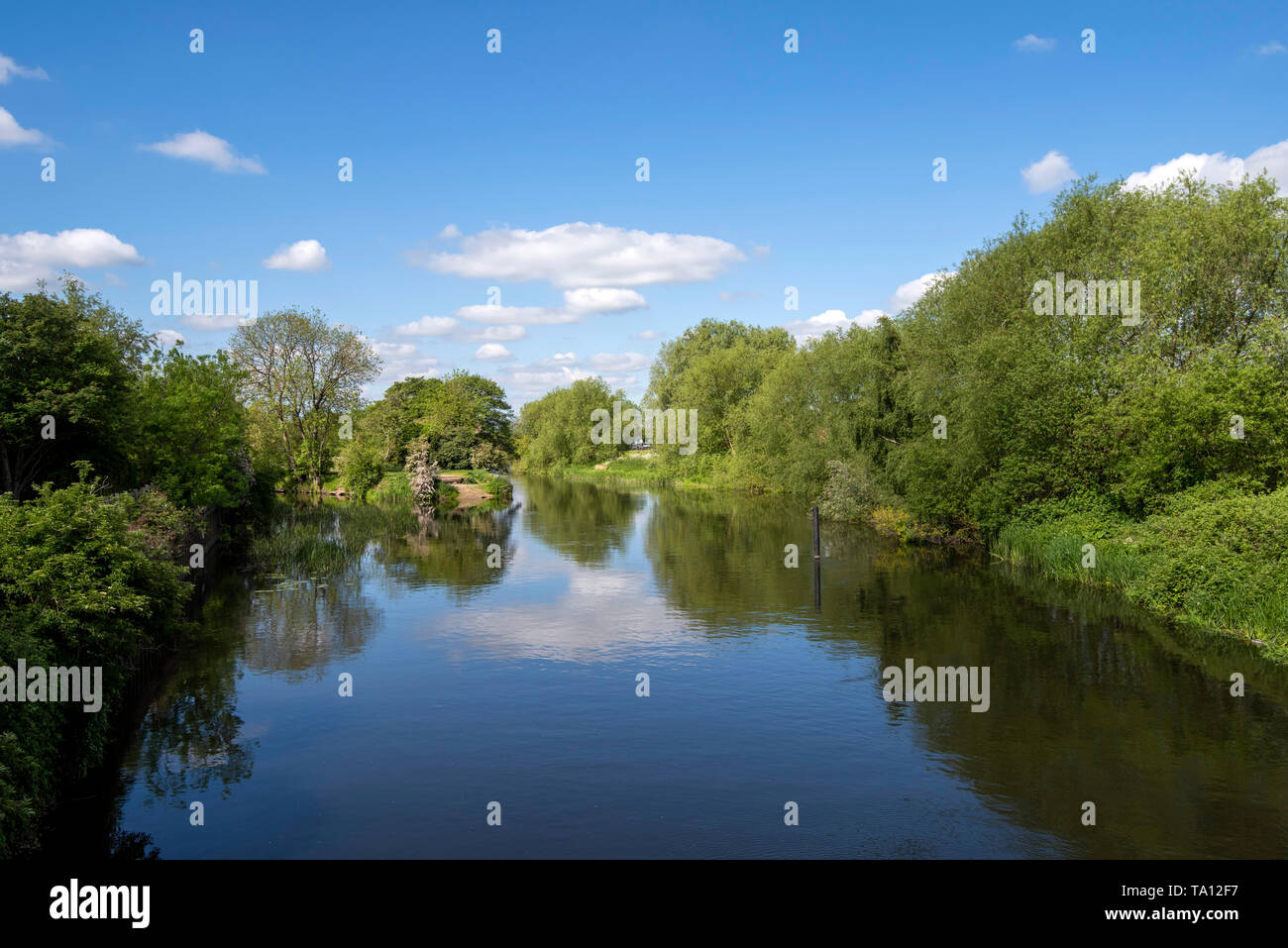 Reflections in the River at Newark on Trent, Nottinghamshire England UK ...