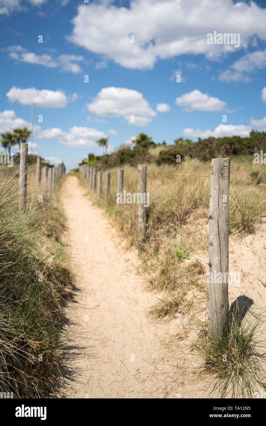 Sandy footpath through sand dunes to the beaches of Sandbanks Stock ...