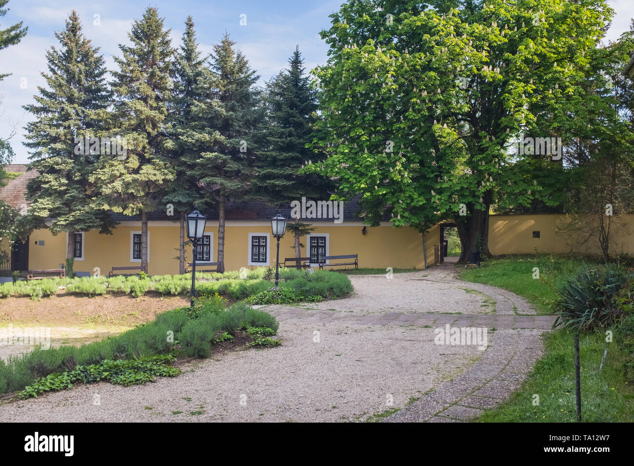 Baro 2022 Photoshoot