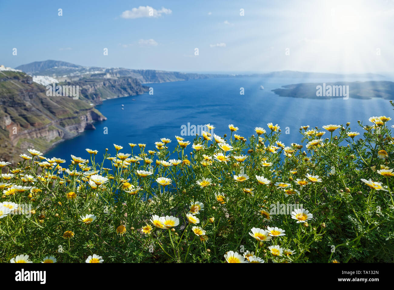 Landscape in greece flower hi-res stock photography and images - Alamy