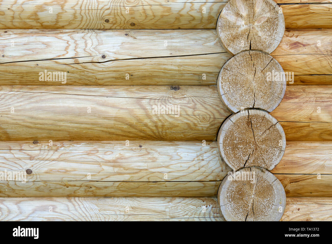texture of large pine logs yellow color close up Stock Photo - Alamy