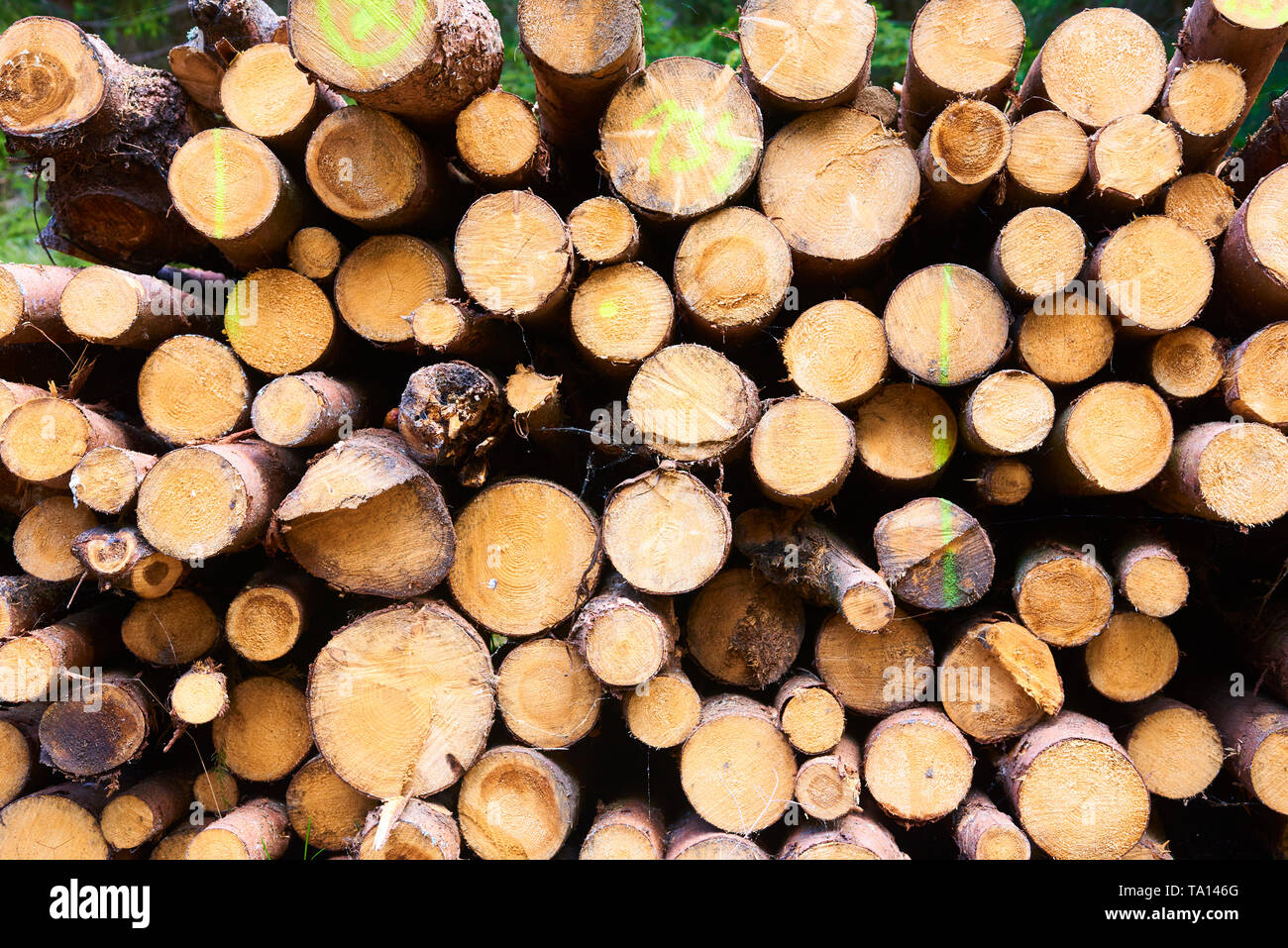 Rough sawn wood lumber hi-res stock photography and images - Alamy
