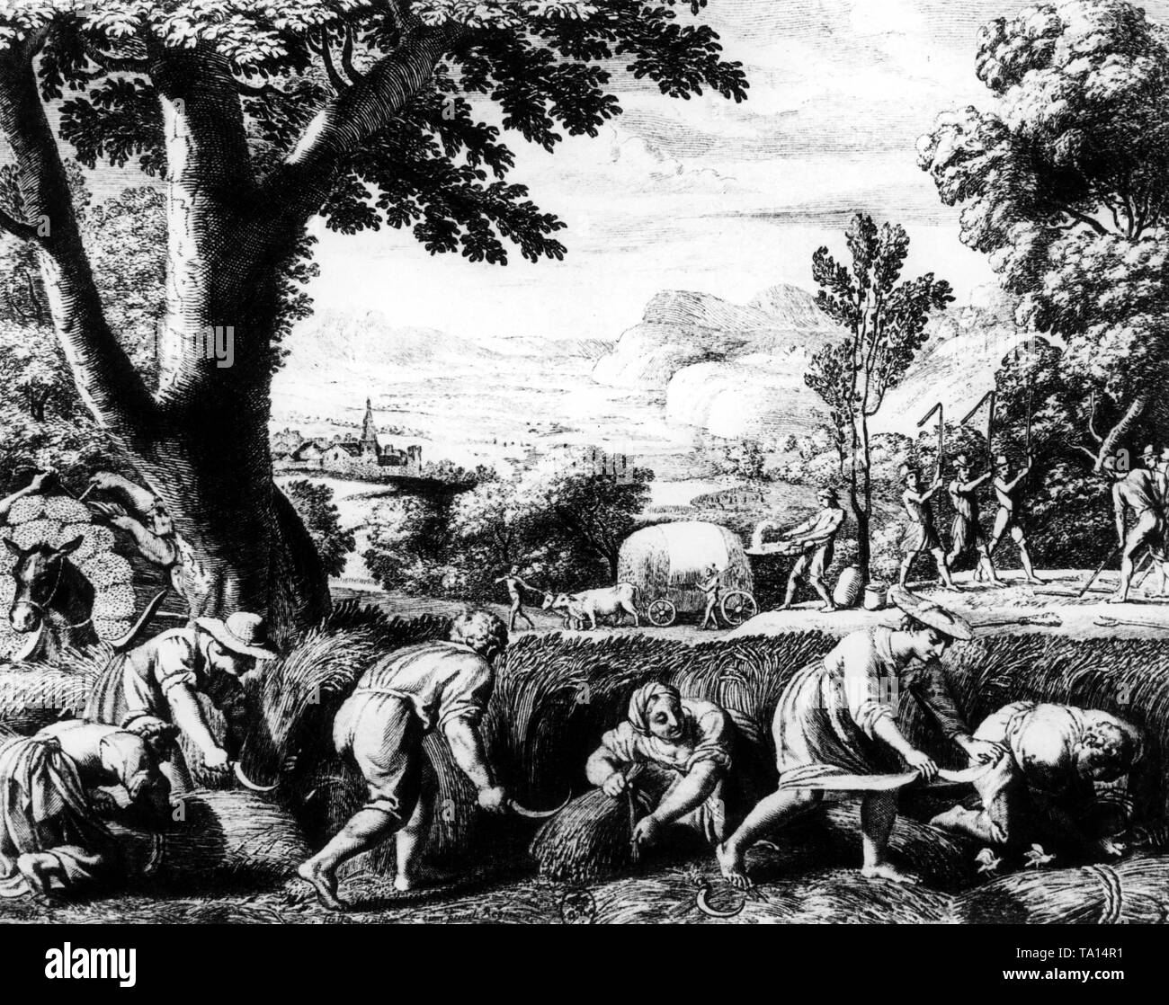 Drawing of farmers and agricultural workers at grain harvest in the ...