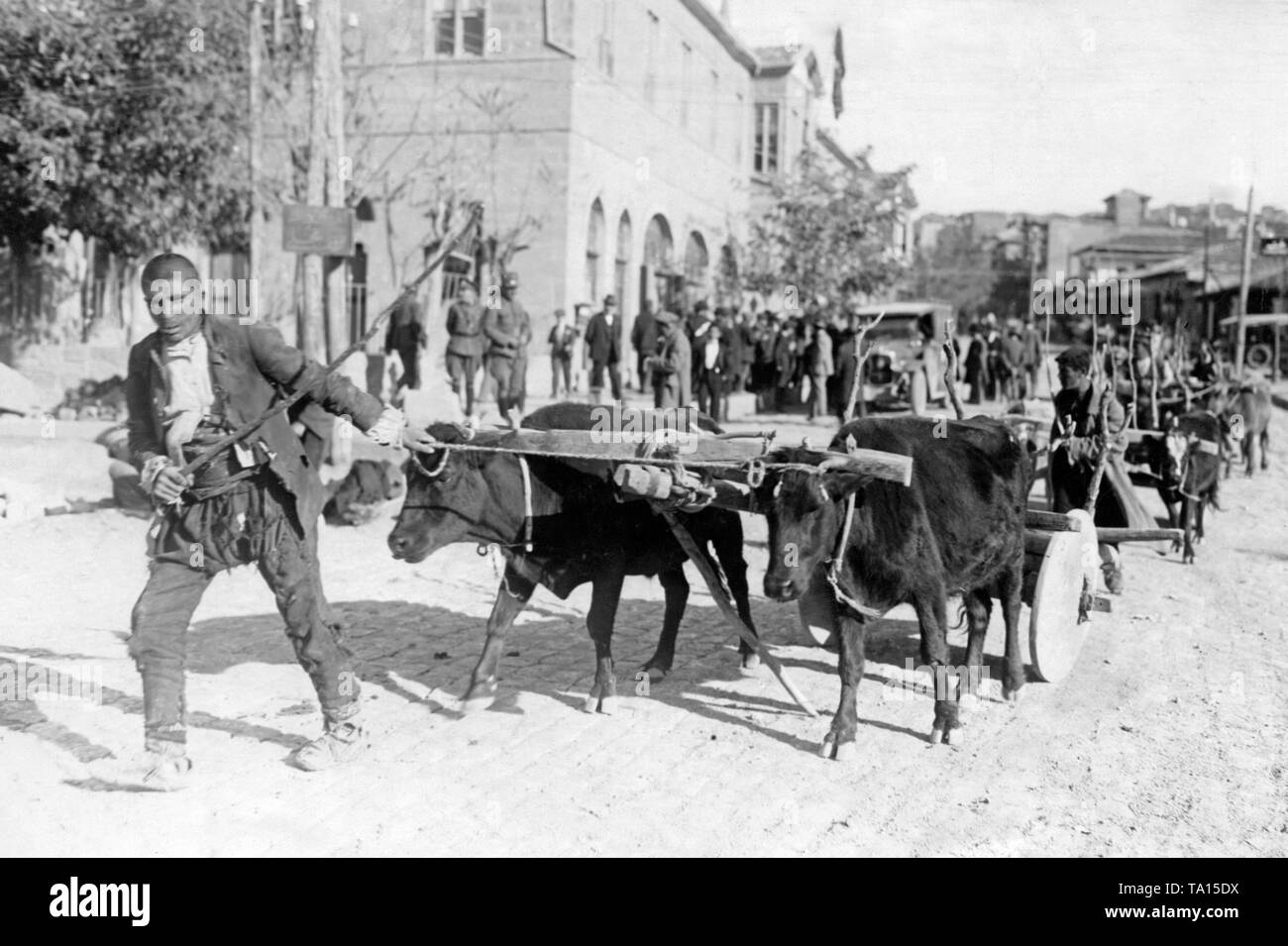 Ox drawn cart hi-res stock photography and images - Alamy