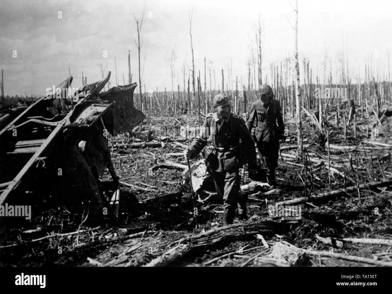 Through artillery fire forest Black and White Stock Photos & Images - Alamy