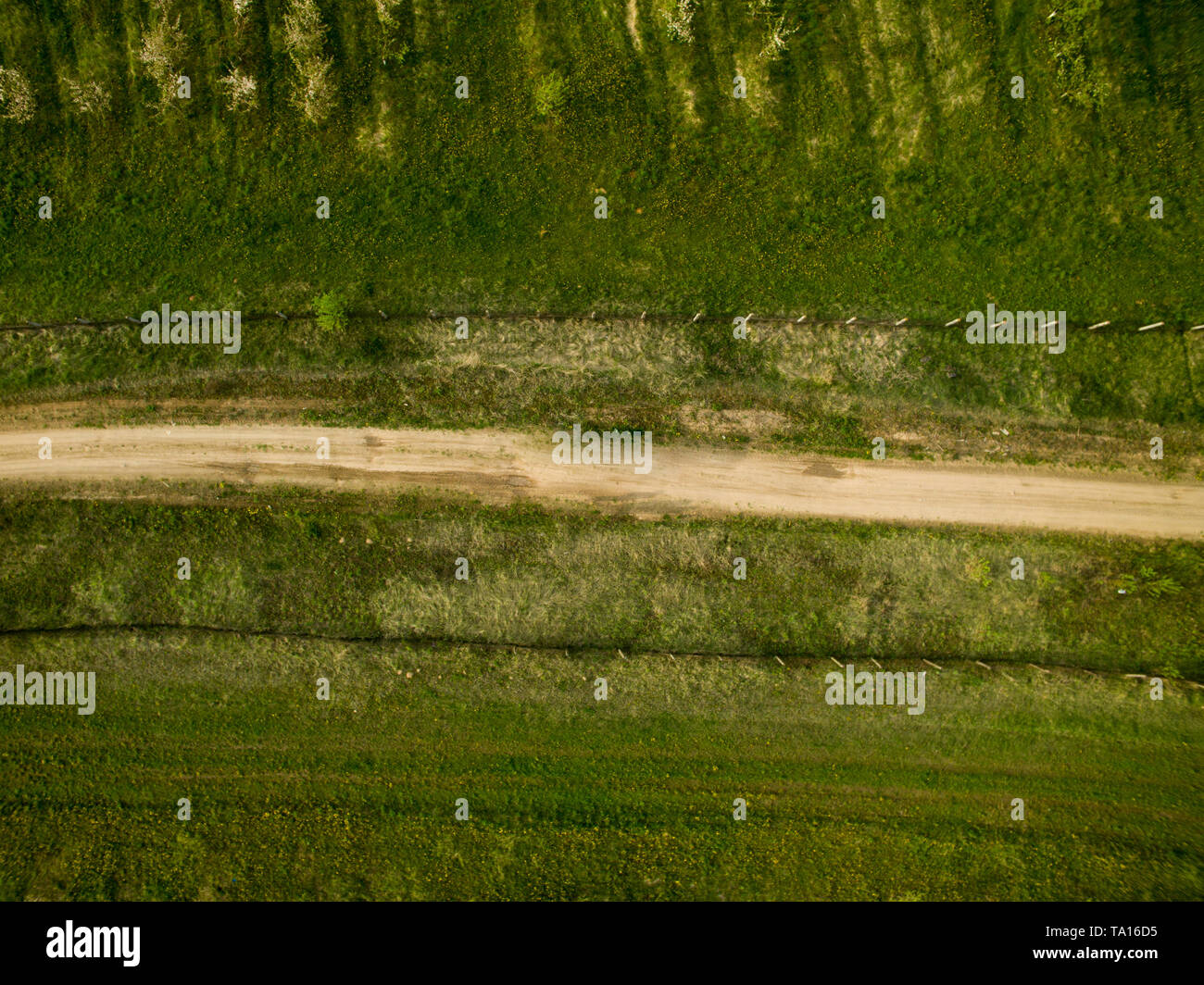 Agricultural sand tree tree garden garden color in summer hi-res stock ...