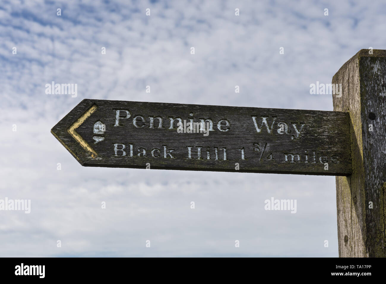 Pennine Way hiking signpost showing the way to Black Hill, Peak ...