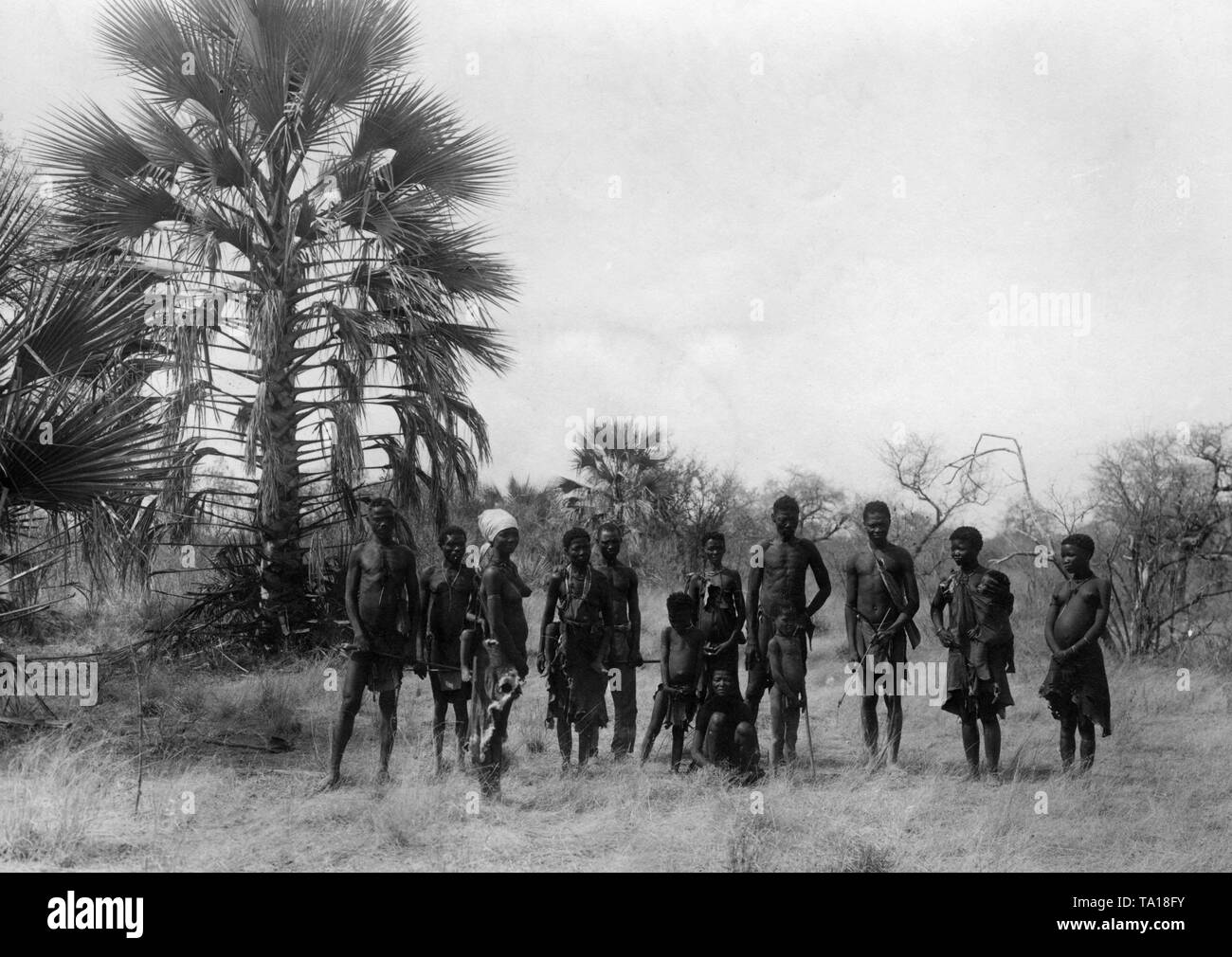 Bushmen with bow and arrow Black and White Stock Photos & Images - Alamy