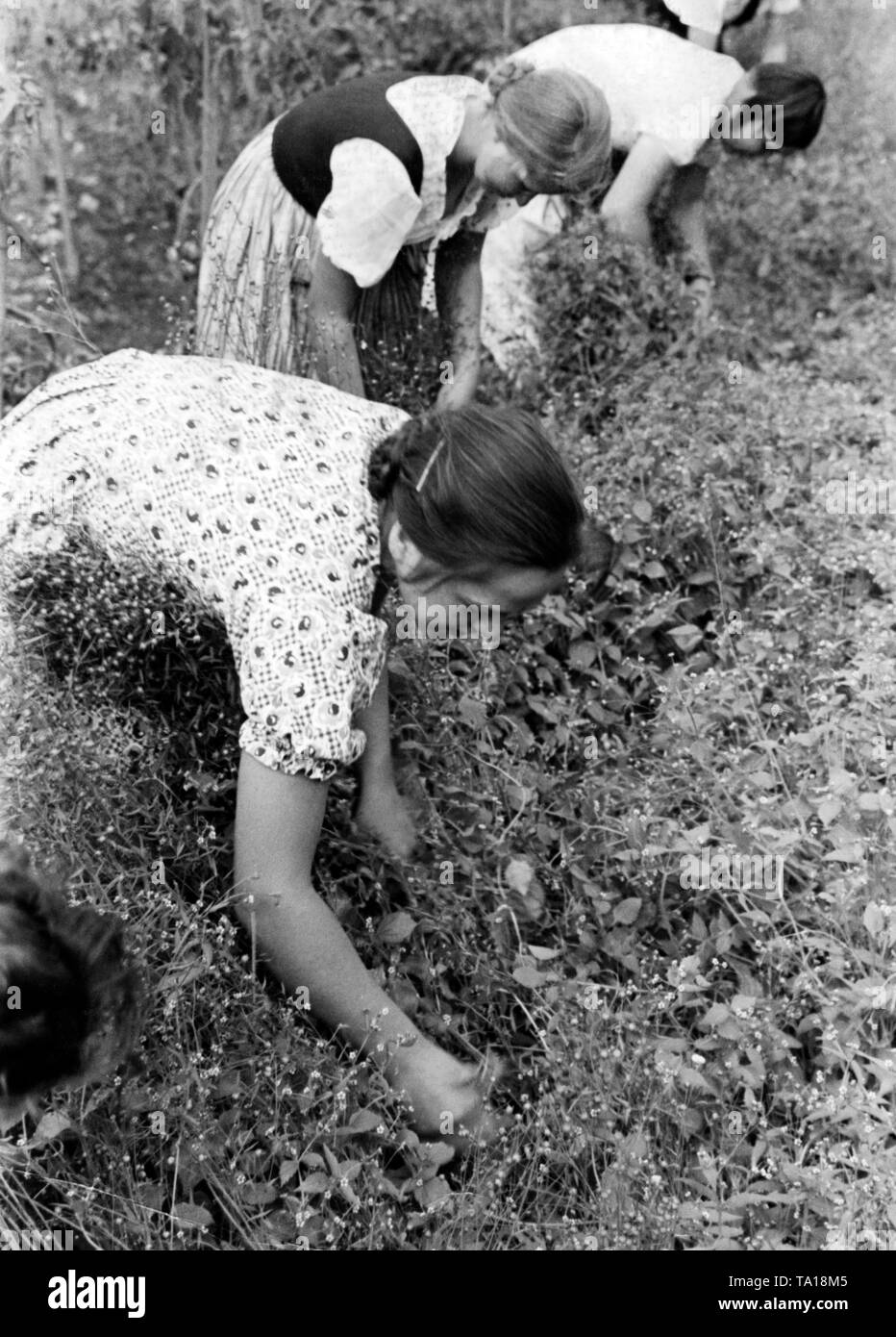 Fieldwork hi-res stock photography and images - Alamy