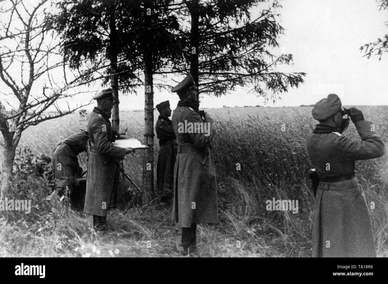 General wehrmacht hi-res stock photography and images - Alamy