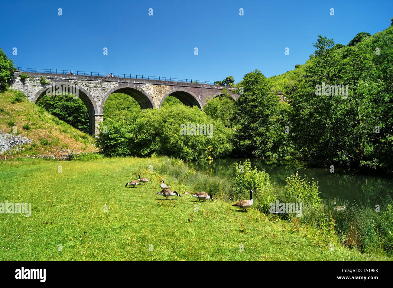 UK,Derbyshire,Peak District,Monsal Dale,Headstone Viaduct & River Wye ...