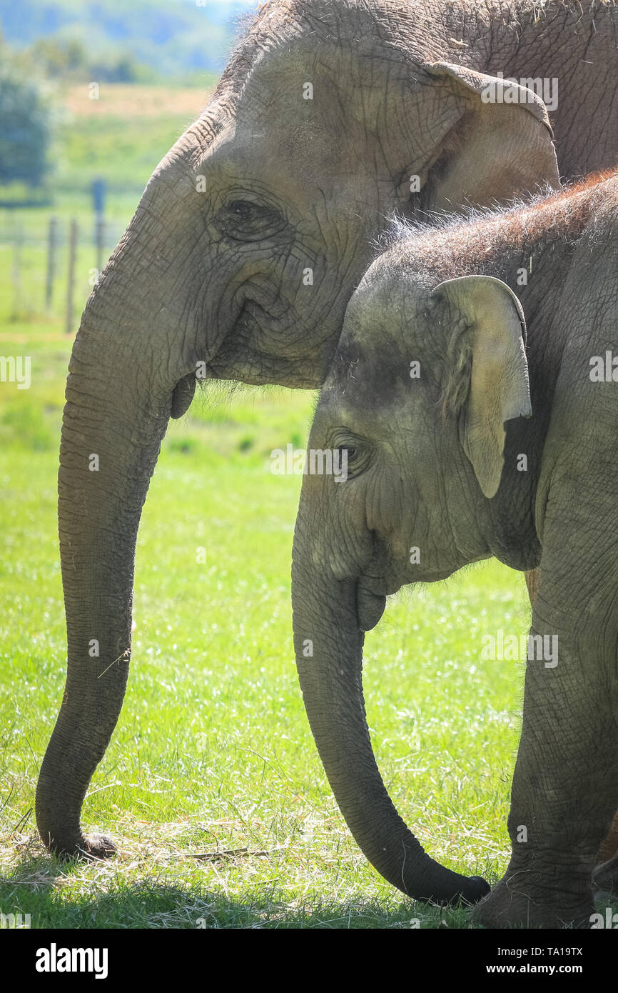 Richard burr hi-res stock photography and images - Alamy
