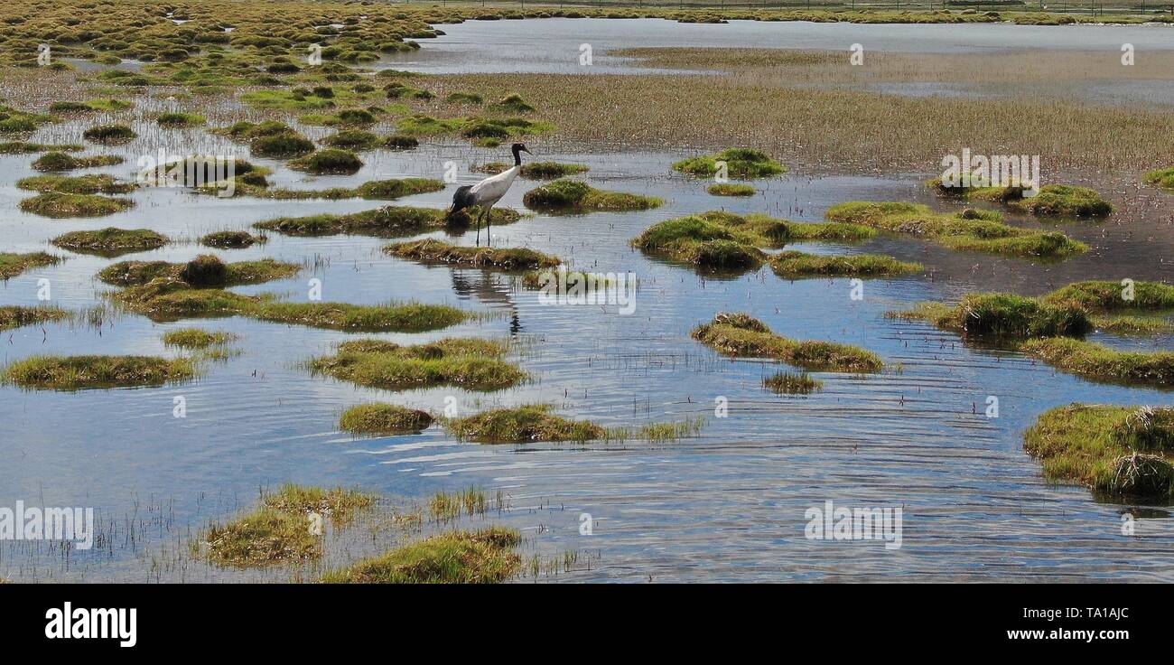 Xigaze, China's Tibet Autonomous Region. 17th May, 2019. Aerial photo ...
