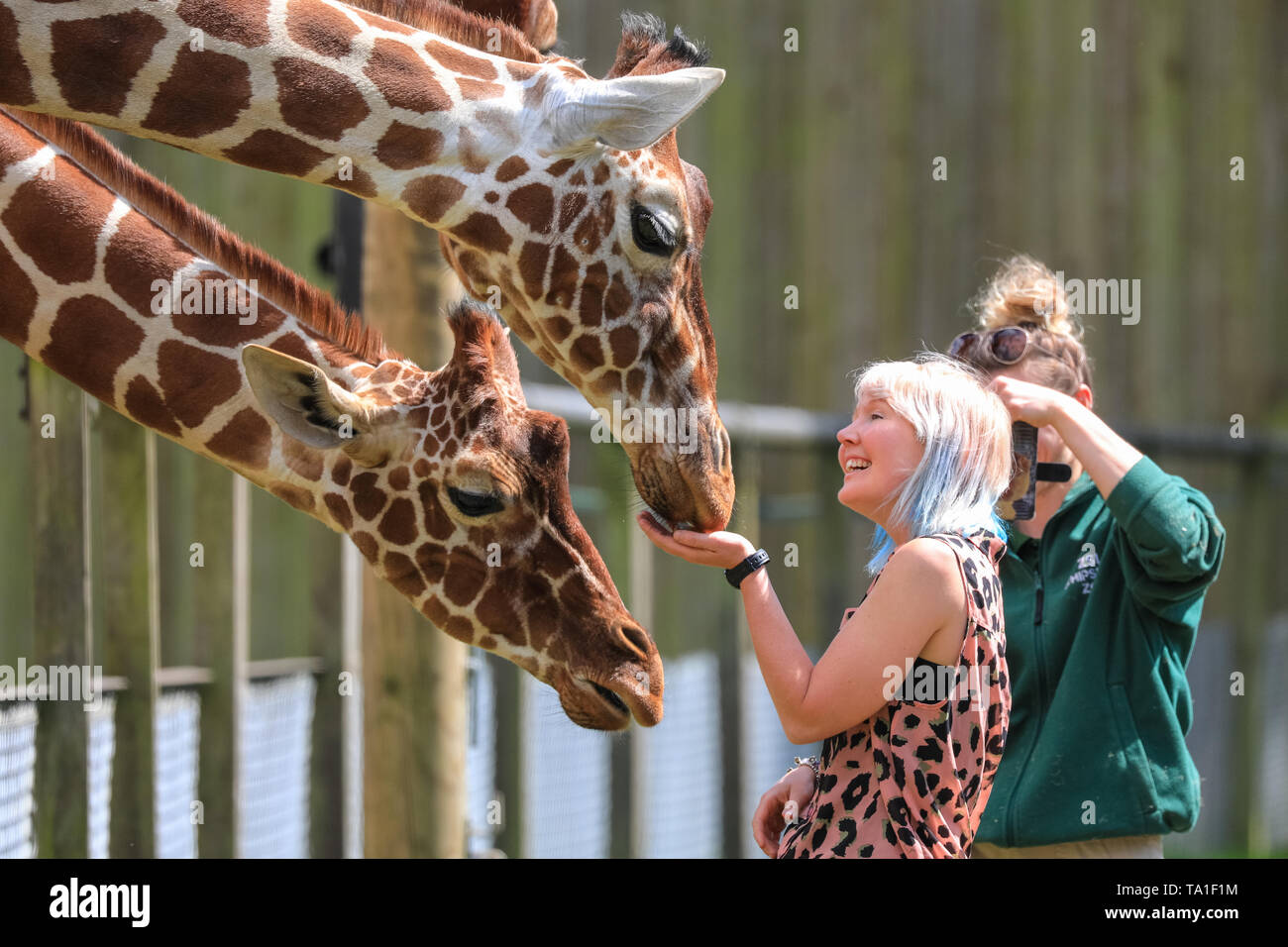 New born feed hi-res stock photography and images - Alamy