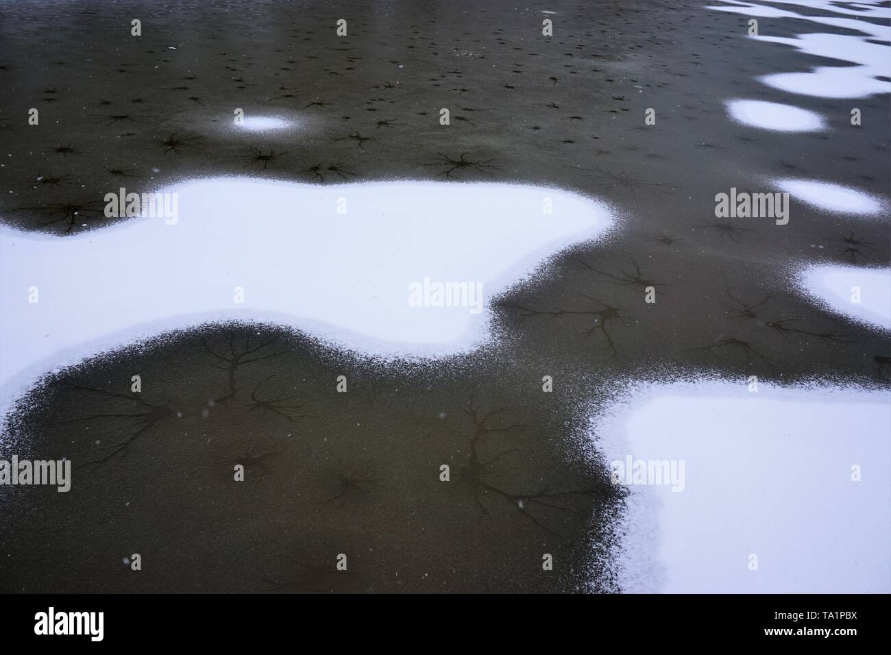 The cracks and accumulated snow on the surface of the frozen lake Stock ...
