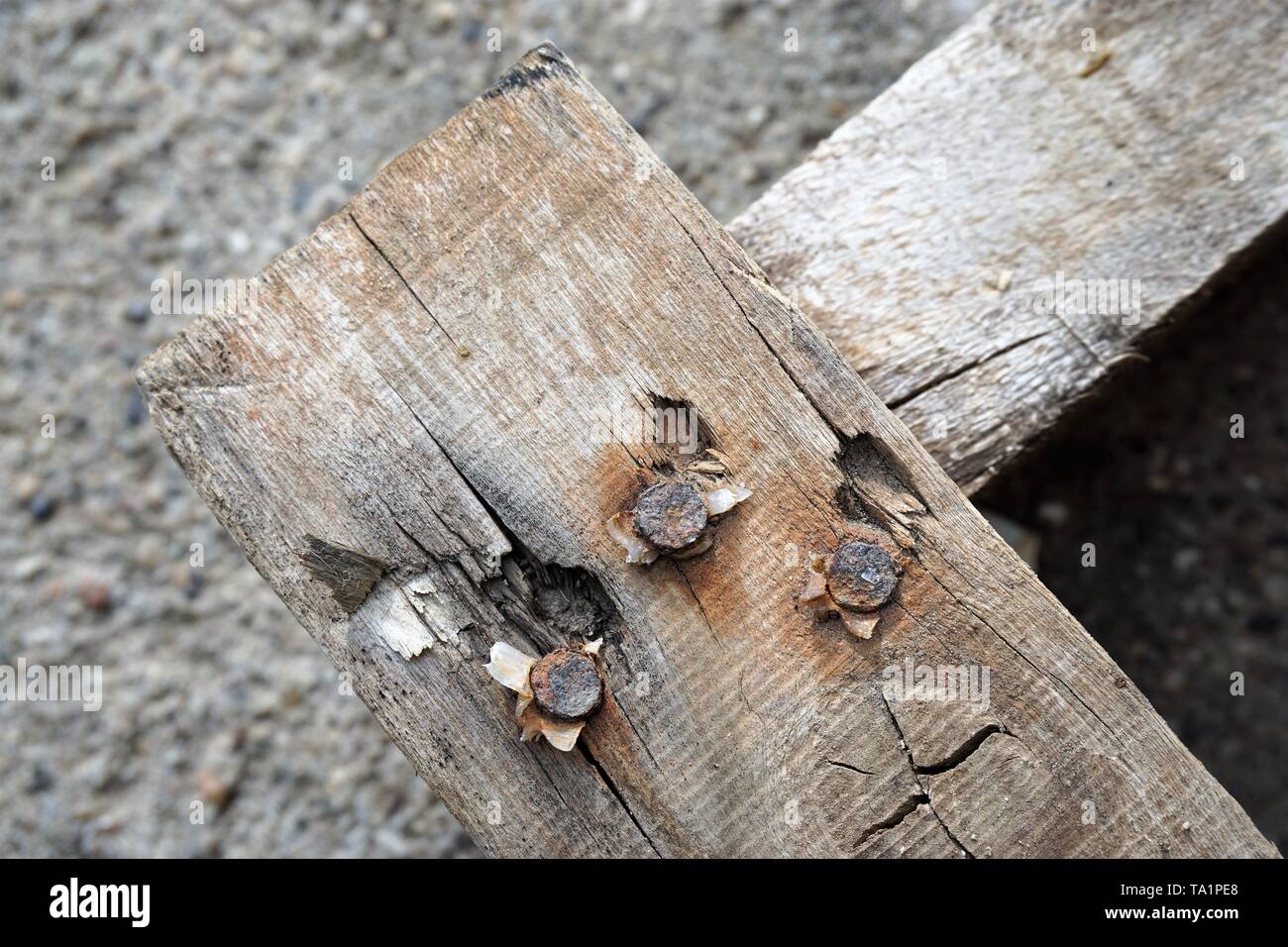 Rough cut timber hi-res stock photography and images - Alamy