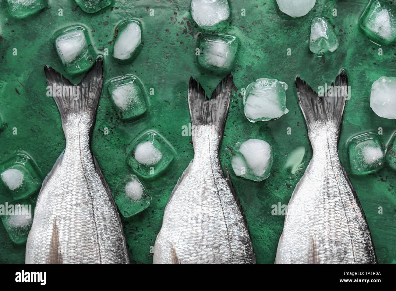 Raw dorado fish pattern hi-res stock photography and images - Alamy