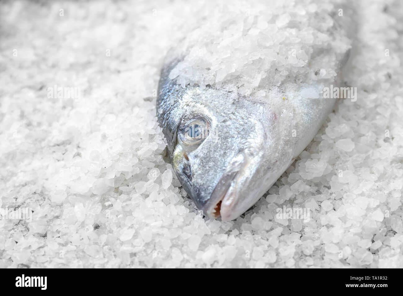 Fish in salt hi-res stock photography and images - Alamy