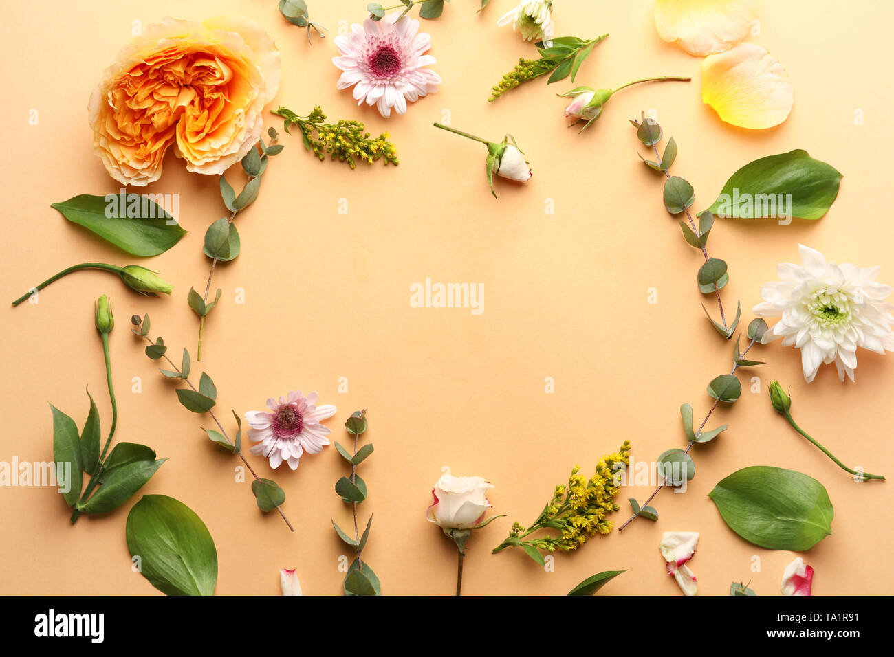 Frame made of different flowers and leaves on color background Stock ...