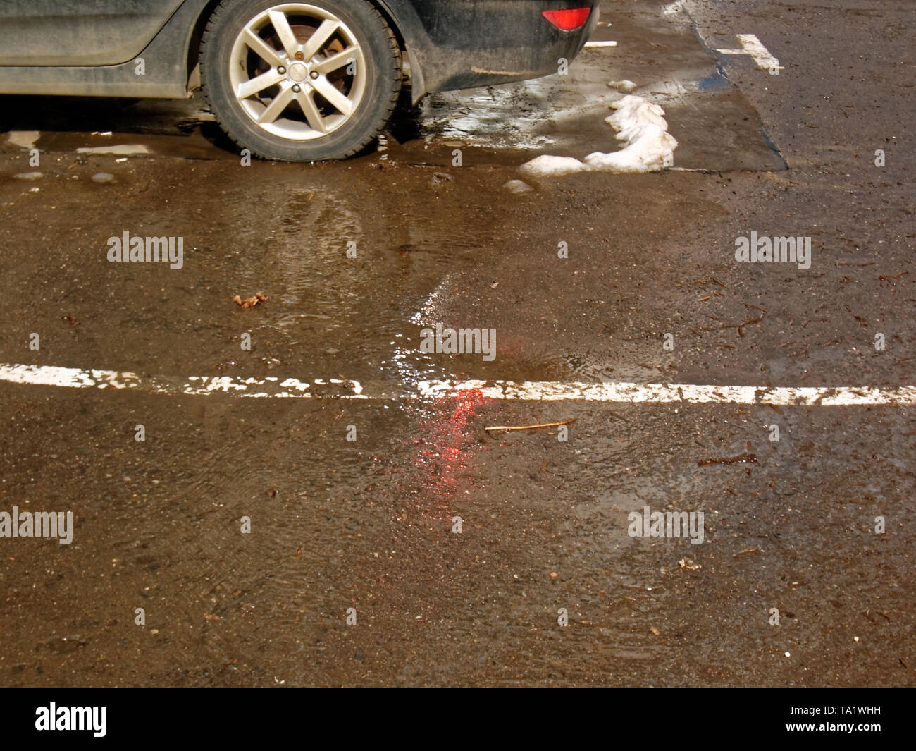 the stream on the pavement in the spring, Moscow Stock Photo - Alamy