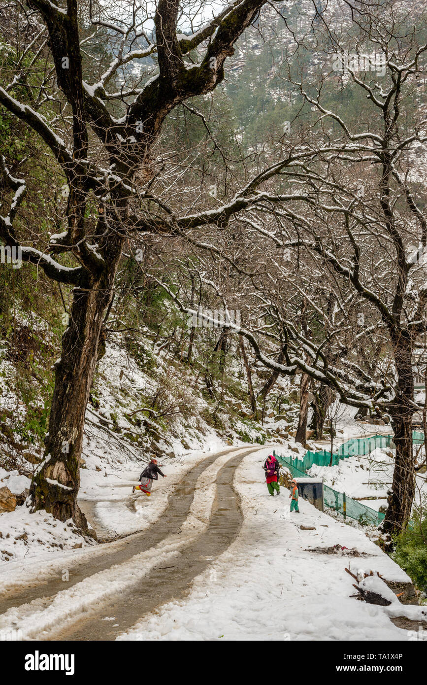 Kullu, Himachal Pradesh, India - Feburuary 08, 2019 : Women playing ...